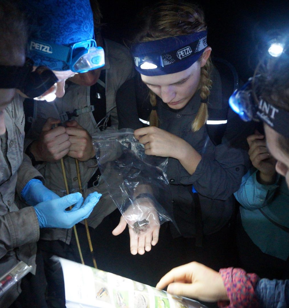 Our Explorers and Leaders working in science and conservation | British ...